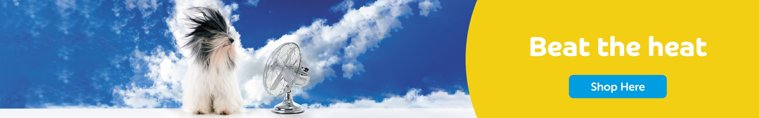 Office and Stationery Products from Polycopy - Polycopy